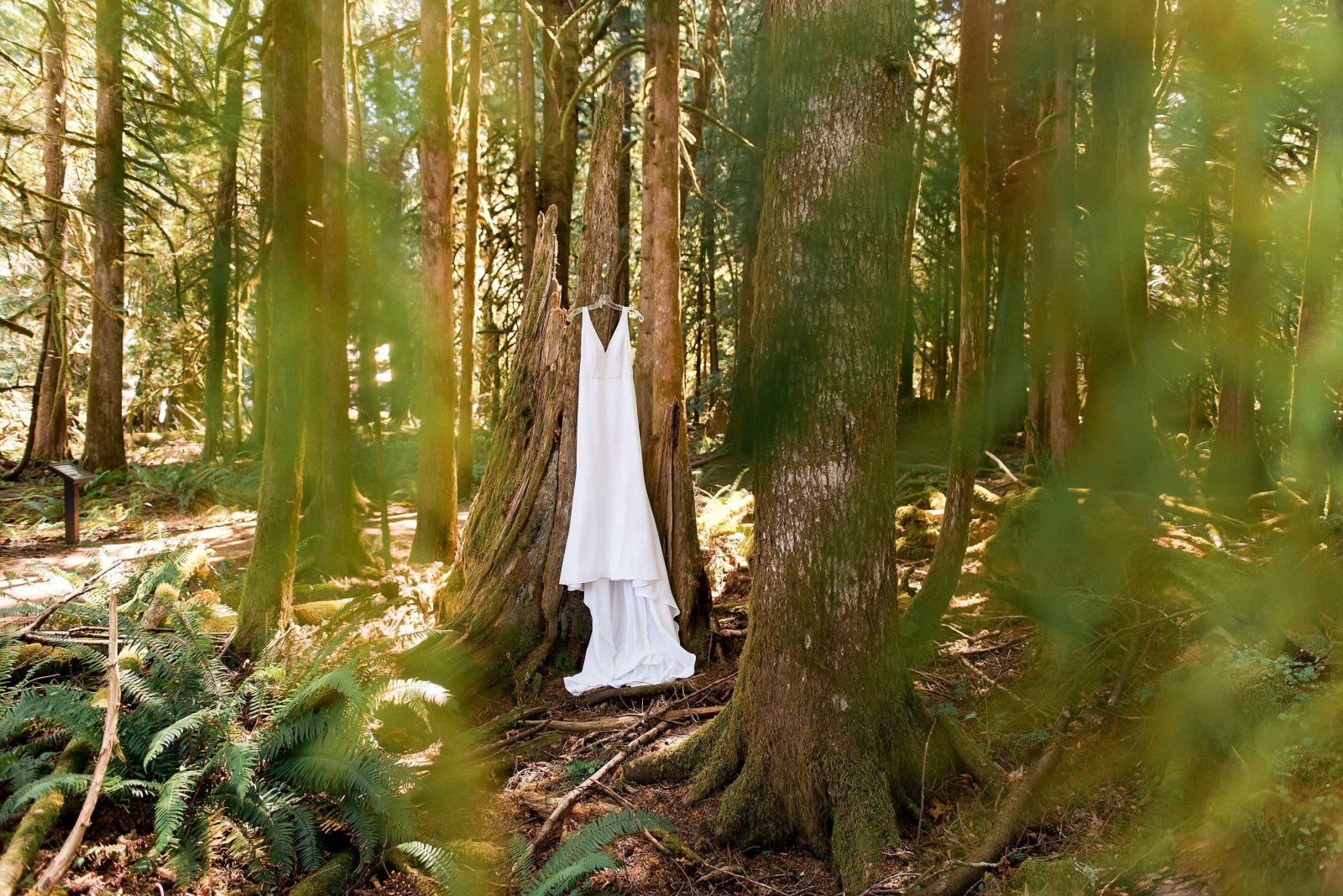Romantic Destination NatureBridge Wedding in Washington State