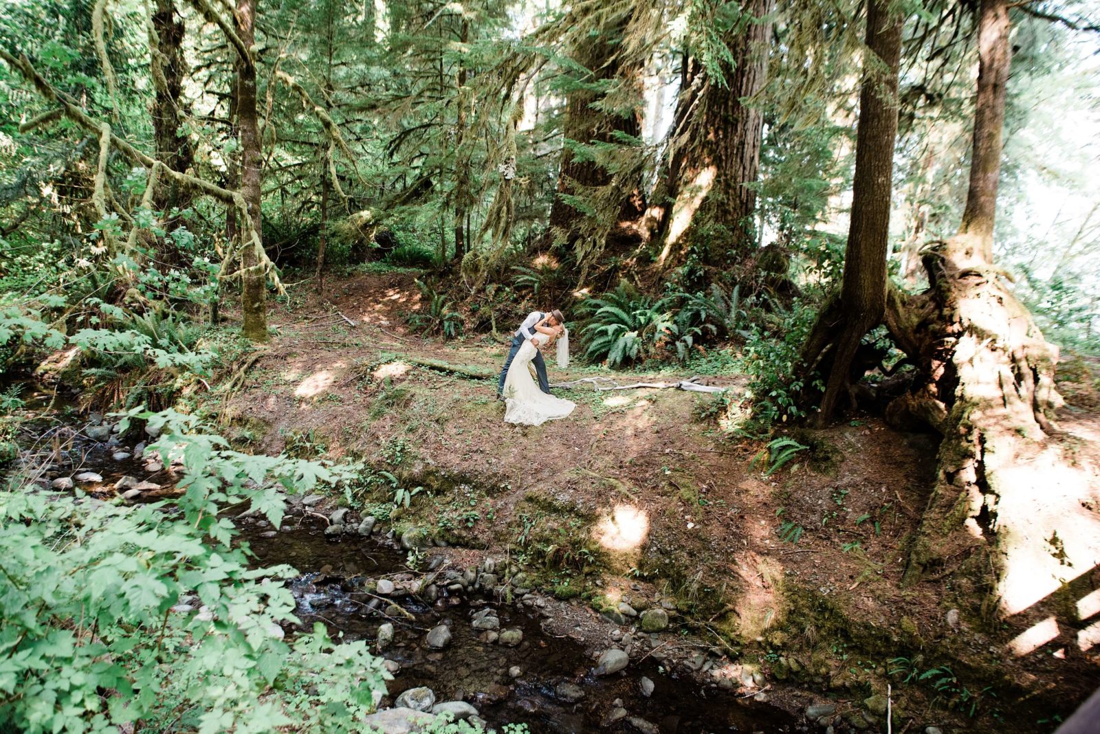 Fern Acres Wedding Venue | Forks WA Enchanting Forest